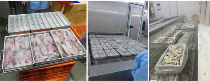 Shrimp/fish fillet plate freezer freezing trays