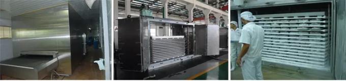 Shrimp/fish fillet plate freezer freezing trays