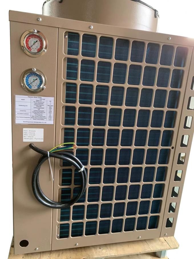 Ecoice health recovery unit chiller for outdoor ice bath recovery